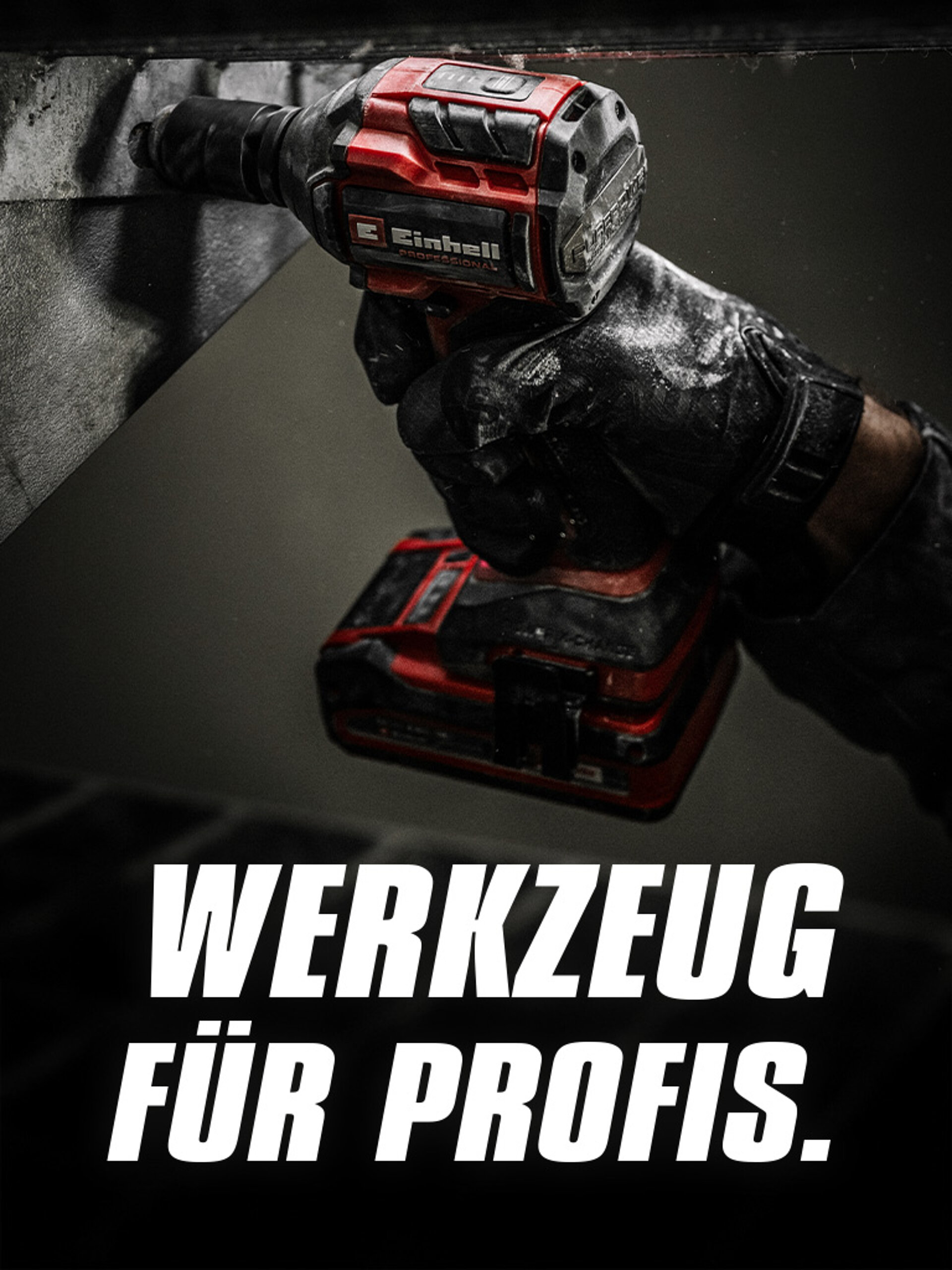 Einhell PROFESSIONAL Geräte für echte Profis | Einhell.ch