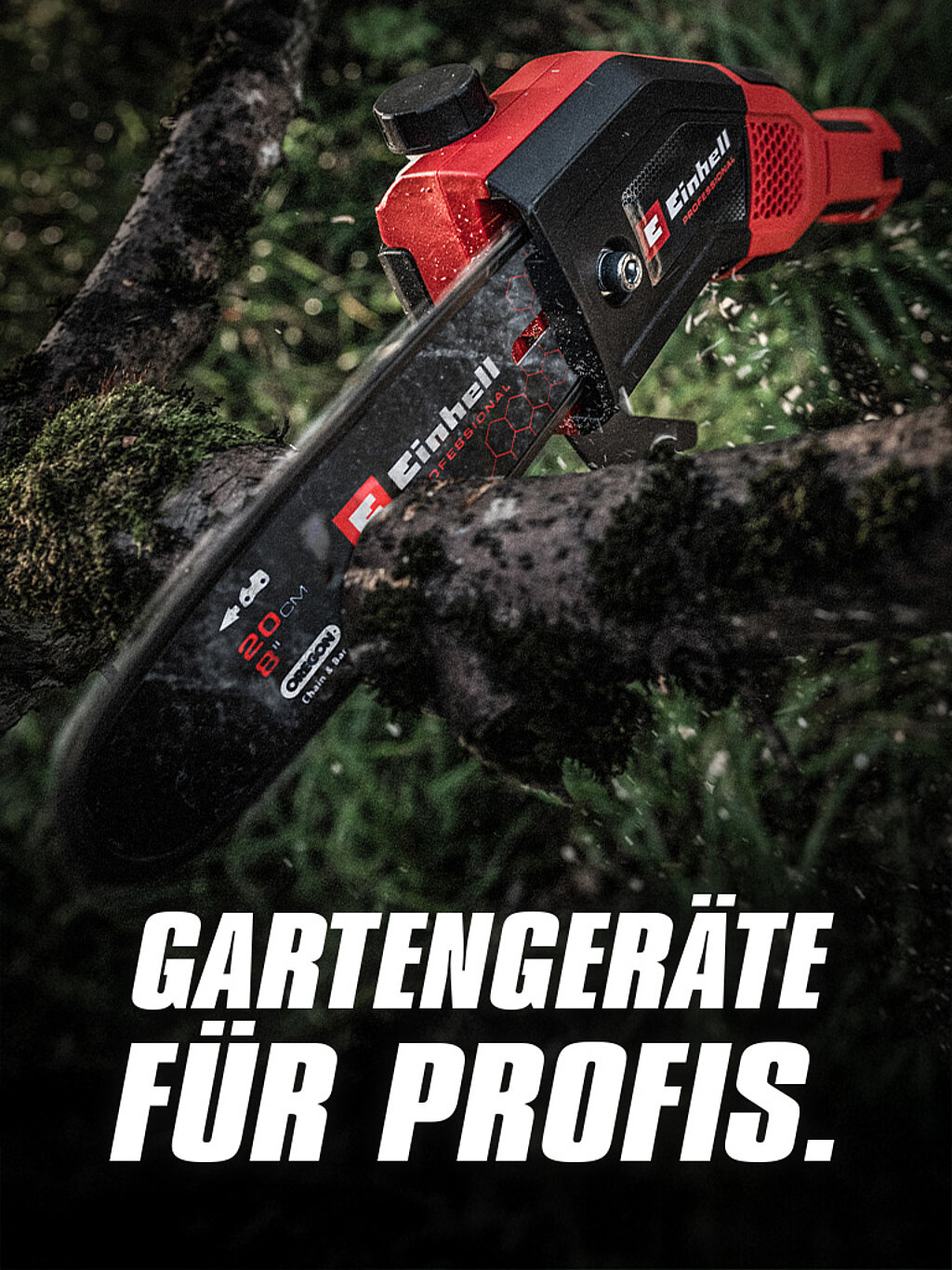 Einhell PROFESSIONAL Geräte für echte Profis | Einhell.ch